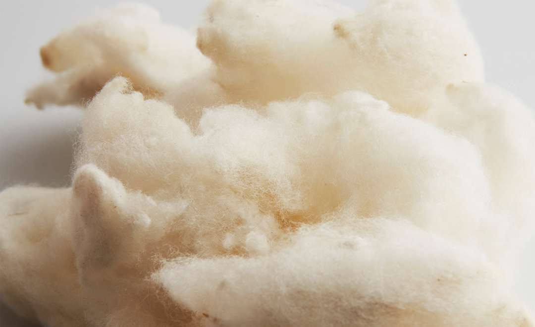 Woolmark Learning Centre